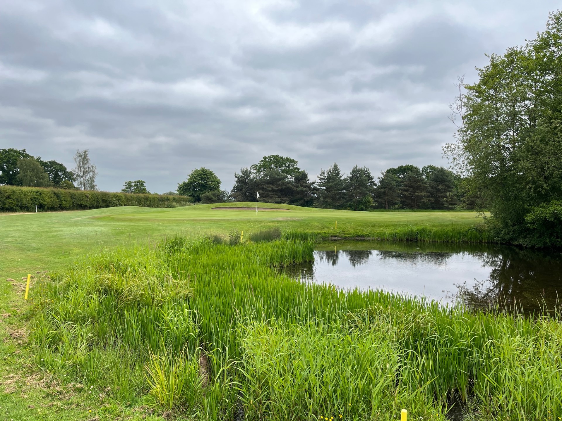 Heyrose Course Review - Sunday Slicers