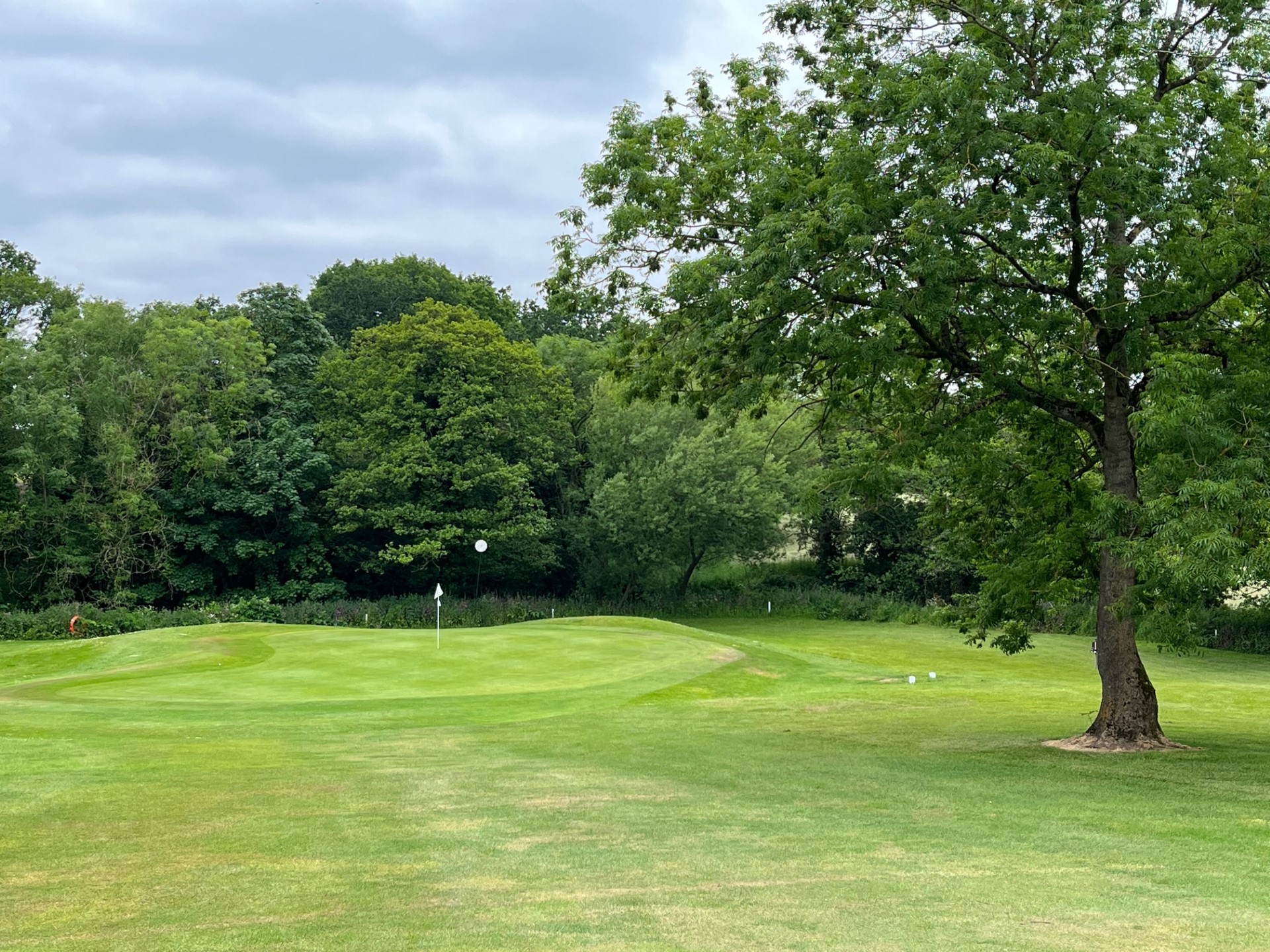 Heyrose Course Review - Sunday Slicers