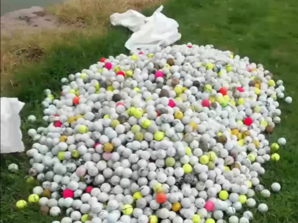 Exclusive: Scott Phillips on Rescuing Balls, and Life - Sunday Slicers